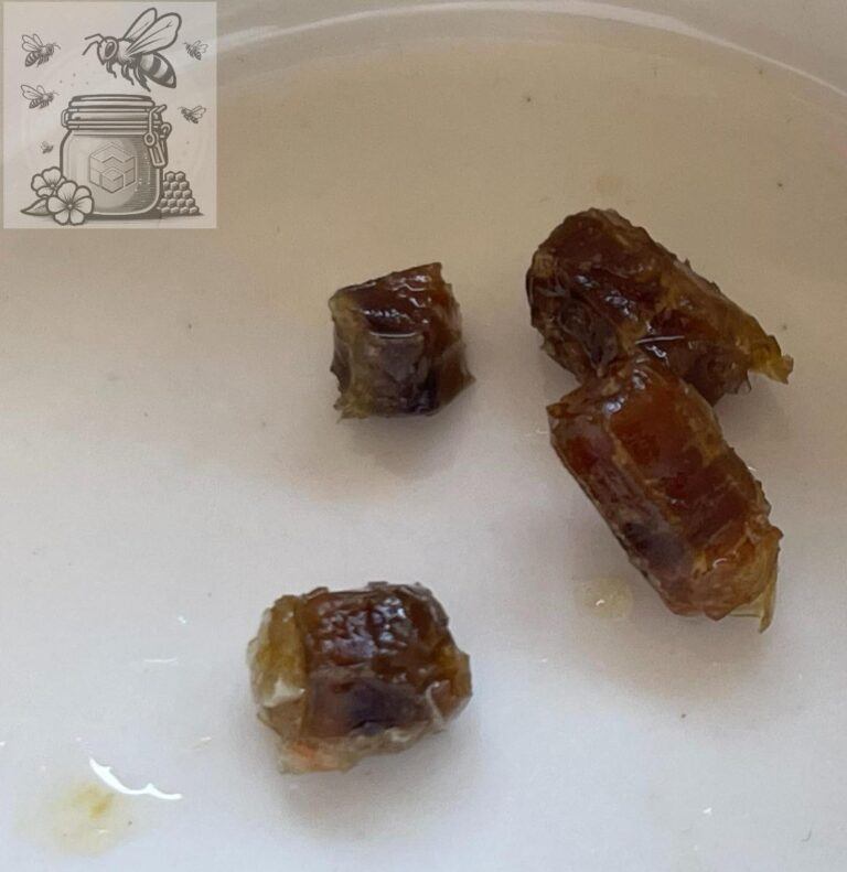 Bee Bread: The Forgotten Hive Food with Remarkable Benefits
